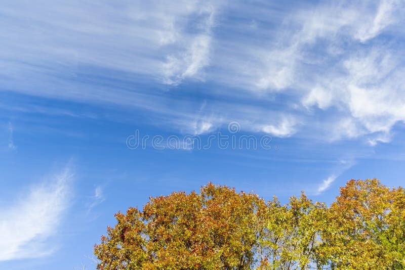 Fall Leaves Against an Autumn Blue Sky Stock Image - Image of beautiful ...