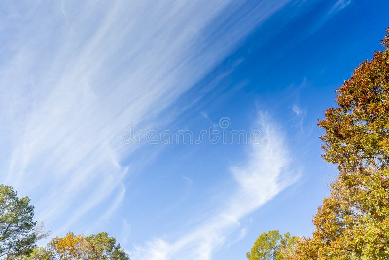 Fall Leaves Against an Autumn Blue Sky Stock Image - Image of leaves ...