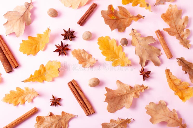 Fall Leaves Autumn Background Stock Image - Image of composition ...