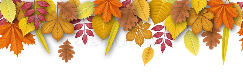 Seamless Banner with Autumn Leaves Stock Vector - Illustration of ...
