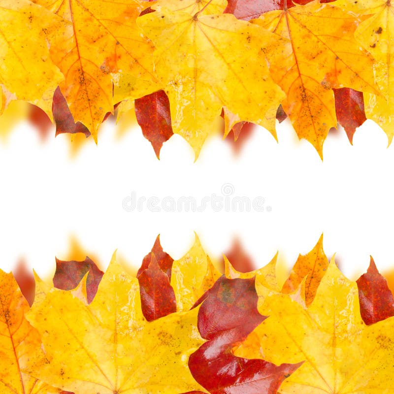 1,753 Leaves Borders Photos - Free & Royalty-Free Stock Photos from ...