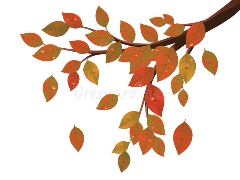 Fall Leaves on Branch stock vector. Illustration of nature - 43953554