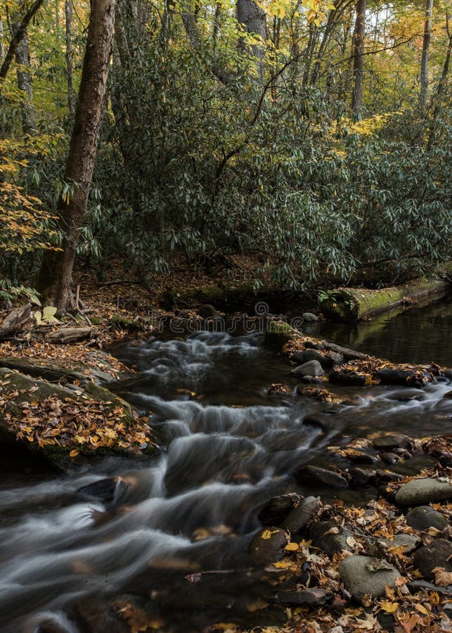 Fall Leaves in Creek stock image. Image of nature, great - 82799507