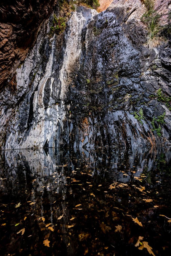 Fall Leaves Float on the Pool Below Cattail Falls Stock Photo - Image ...
