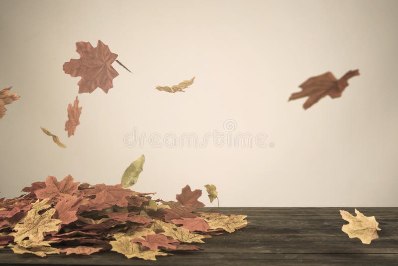 Fall Leaves Flying Wind. High Quality Photo Stock Photo - Image of ...