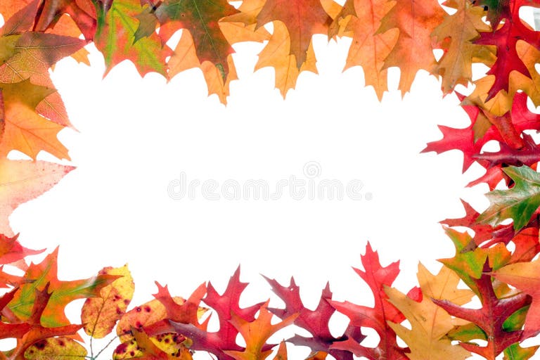 1,701 Fall Leaves 3 Clipart Stock Photos - Free & Royalty-Free Stock ...
