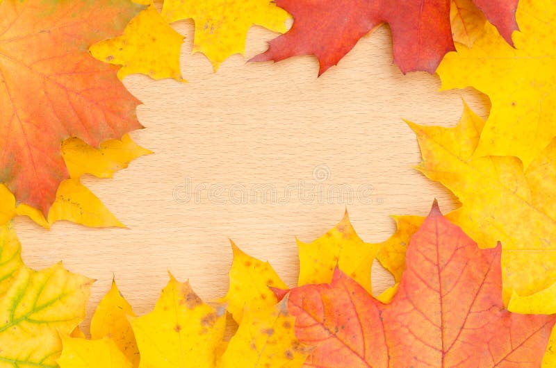 Fall leaves frame stock photo. Image of detail, october - 61299484