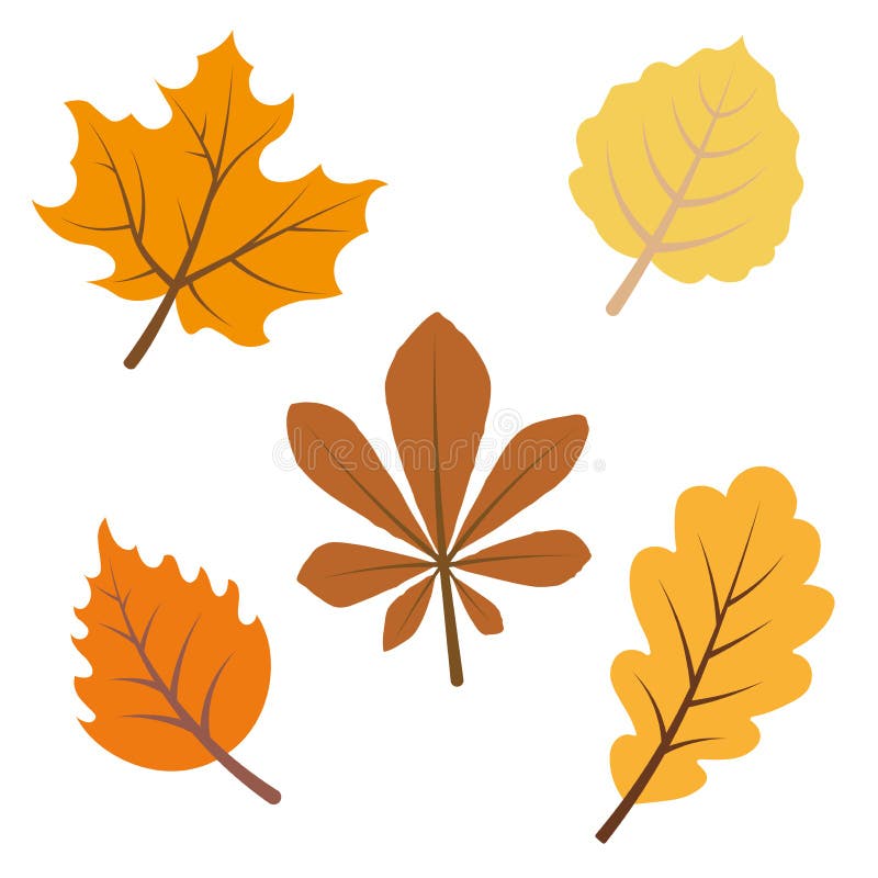 Hand Drawn Vector Illustrations. Set of Fall Leaves Stock Vector ...