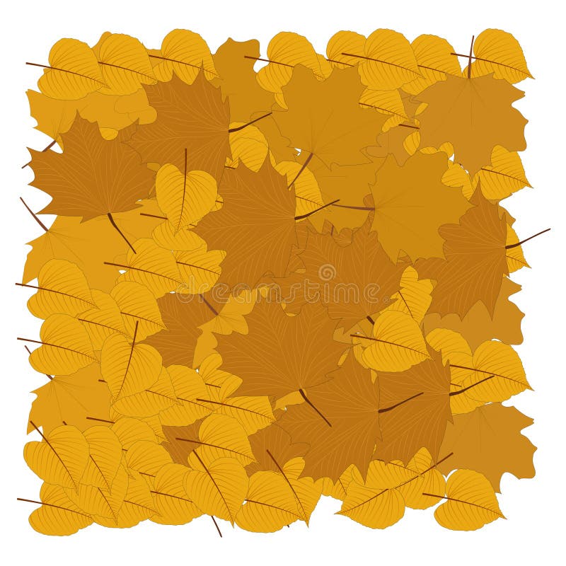 Fall Leaves Isolated on White Background Collection. Autumn Leaves ...