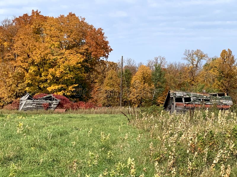 Fall leaves stock image. Image of beauty, minnesota - 258169819