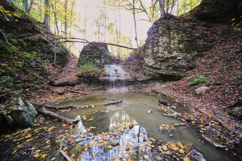 Waterfall Dripping Down Slope into Muddy Water with Fall Leaves and ...
