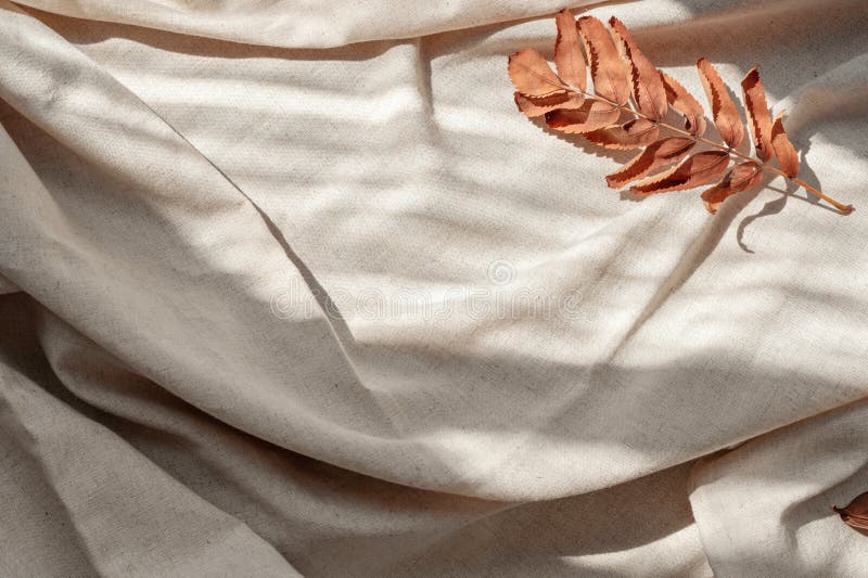 Fall Leaves and Natural Sunlight Shadows on Crumpled Linen Cloth ...