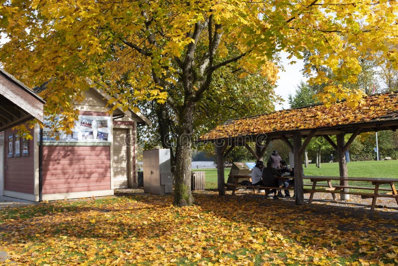Fall Leaves and Picnic Table Scene Stock Photo - Image of table ...