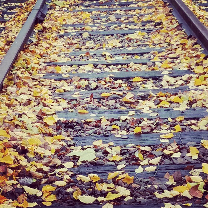 Fall Leaves on Railroad Tracks Stock Photo - Image of autumn, fall ...