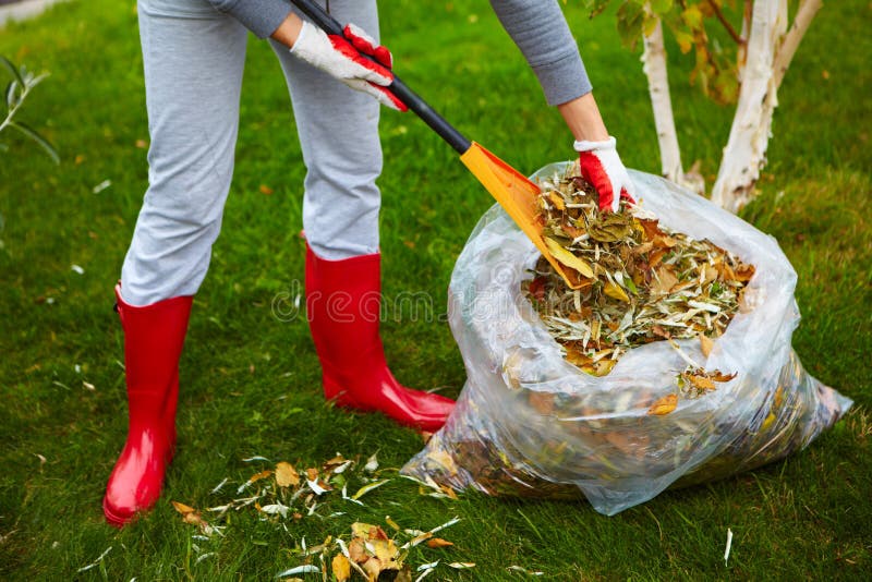 Fall leaves with rake stock image. Image of october, cleaning - 47287025