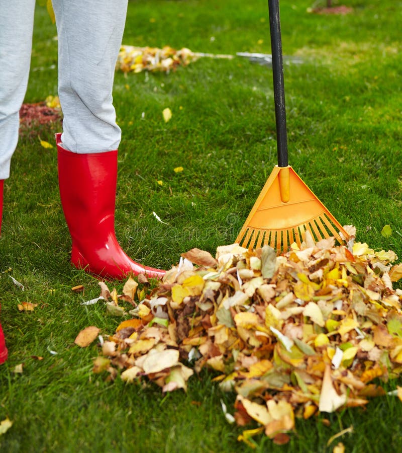 Fall leaves with rake stock image. Image of fall, girl - 47286899