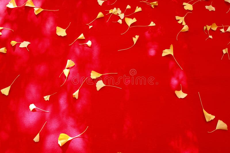 Fall leaves on red fabric stock photo. Image of autumn - 46900974