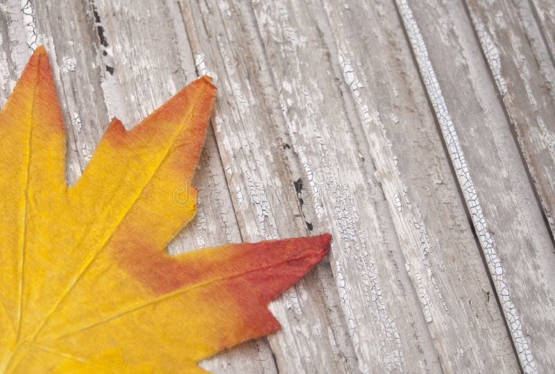 Fall Leaves on Rustic Wood stock photo. Image of vibrant - 15434094