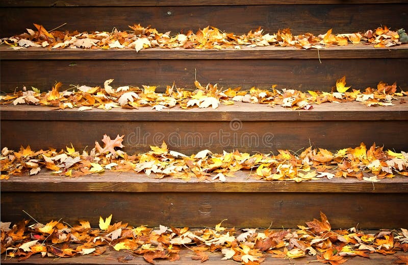 Fall Leaves On Steps Picture. Image: 7039137