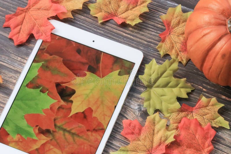 Fall leaves with tablet stock photo. Image of tablet - 124387986