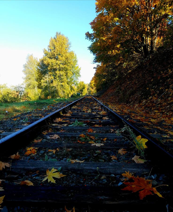 Train Tracks Autumn Stock Images - Download 2,361 Royalty Free Photos