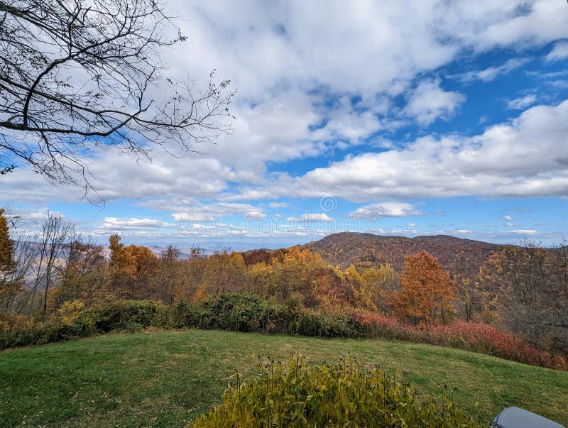 Fall Leaves in Trees in the Mountains Early Fall Stock Photo - Image of ...