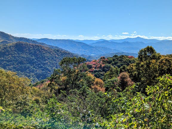 Fall Leaves in Trees in the Mountains Early Fall Stock Photo - Image of ...