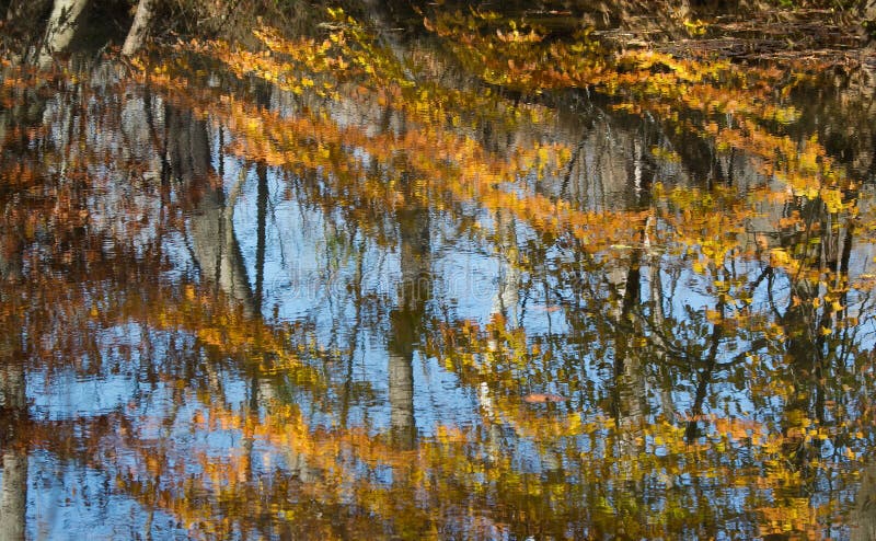 Fall Leaves and Trees Reflected on Water Stock Image - Image of ...