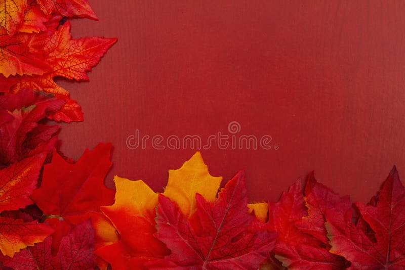 Fall Leaves on Wood Autumn Background Stock Image - Image of leaves ... Fall Leaves on Wood Autumn Background Stock Image - Image of leaves ...