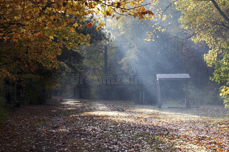 Fall Light Picture. Image: 7039527