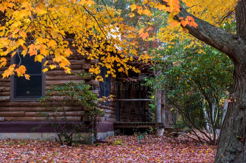Fall Log Cabin stock image. Image of nature, forest - 261700679