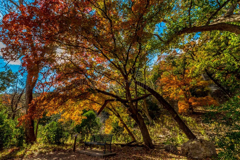 Fall at Lost Maples State Park, Texas Stock Photo - Image of boulder ...