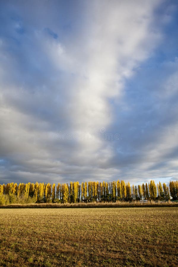 Fall at the Mall stock photo. Image of beauty, cloudscape - 27856636