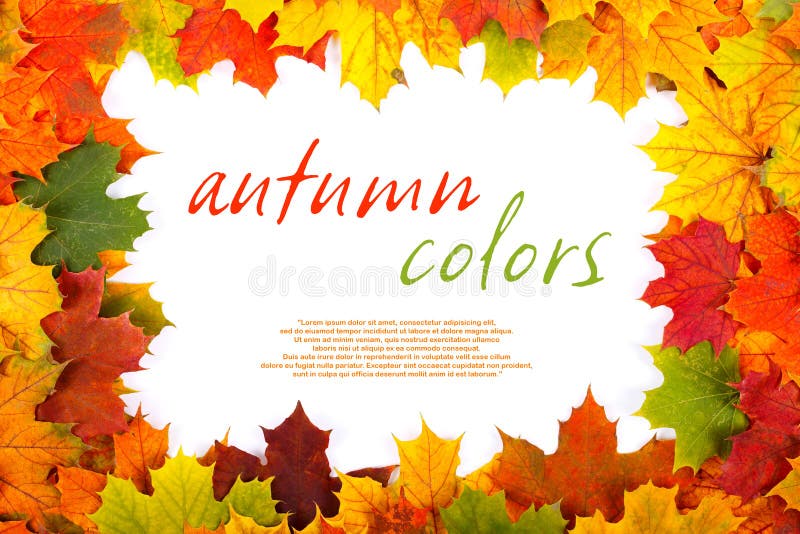 Fall maple leaf border stock photo. Image of orange, grunge - 34465394