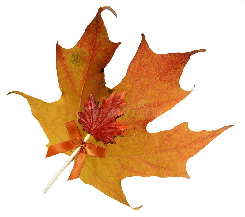 Fall Maple Leaf with Maple Candy Stock Photo - Image of colorful ...