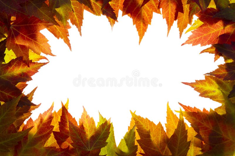 Fall Maple Leaves Border stock photo. Image of nature - 21442862