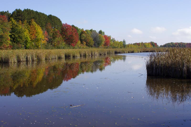 Fall Marsh stock photo. Image of woods, nature, fall - 89202546