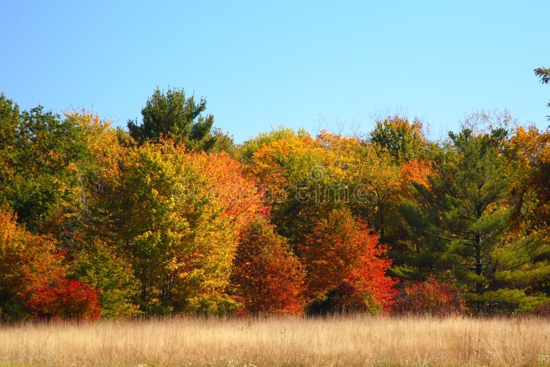 Fall Meadow Stock Photos - Image: 1353703