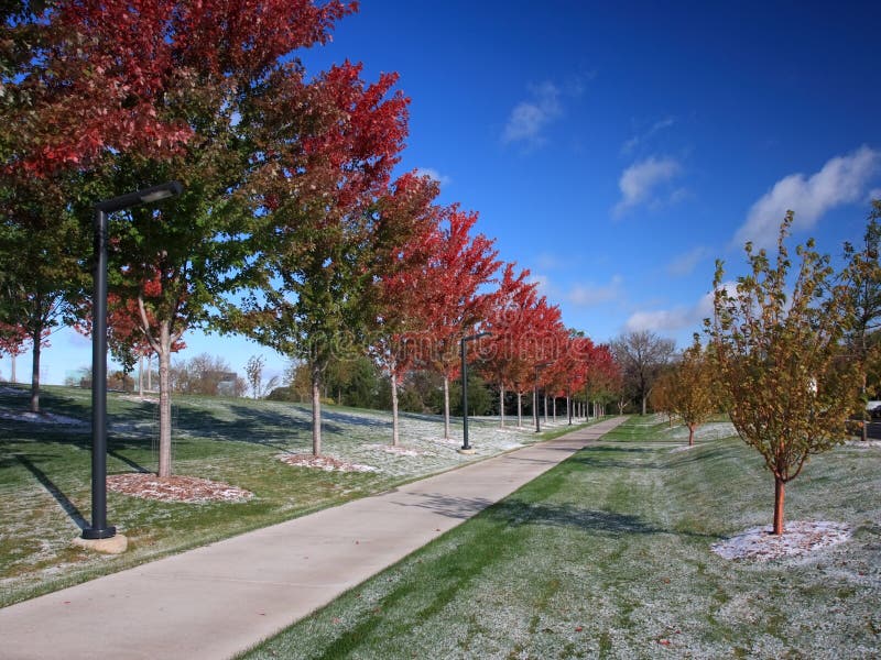 Fall in Minnesota with Sidewalk Horizontal View Stock Image - Image of ...