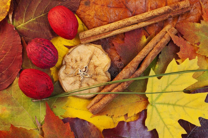 Fall Mix stock photo. Image of beautiful, colorful, colored - 19136004