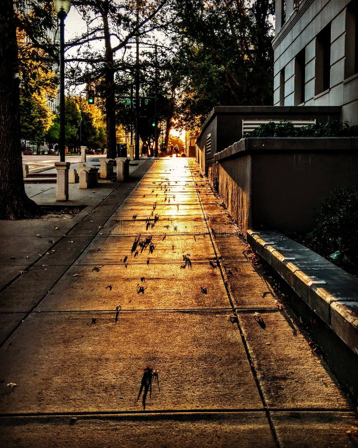 Fall morning in the city stock photo. Image of denver - 111810796