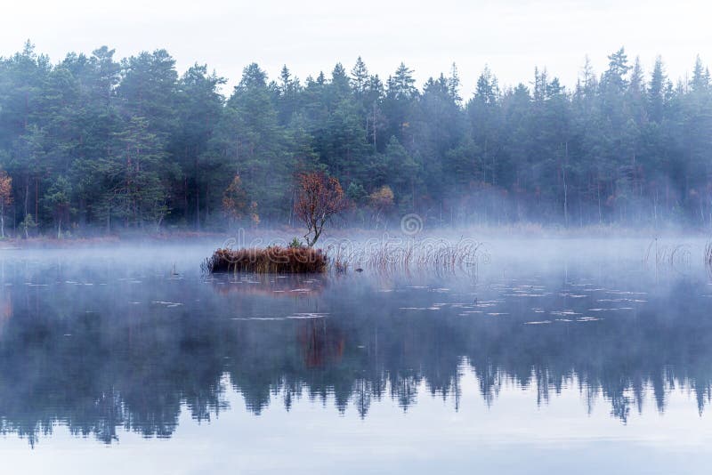 Fall Morning by Forest Lake Stock Photo - Image of nature, mirror ...