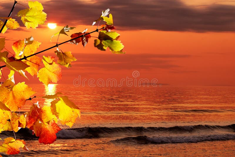 Fall morning at the ocean stock photo. Image of ripples - 21366354