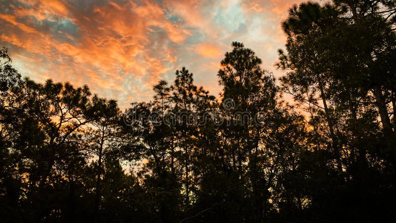 Tree Line Reflection on Lake Stock Image - Image of scenic, nomad2326 ...