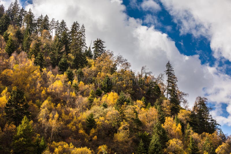 Fall in mountain of China stock photo. Image of scenic - 149297728