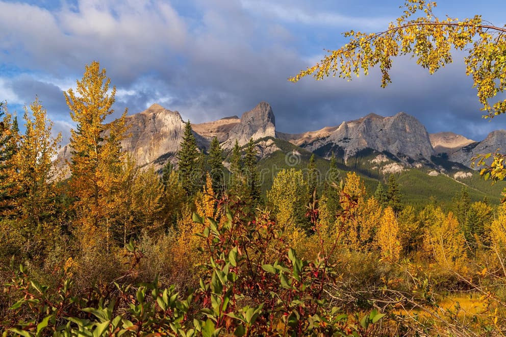Fall Mountain Forest in Canmore Stock Photo - Image of autumnal, autumn ...