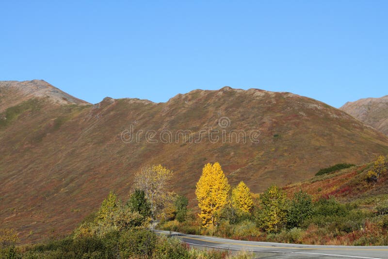 Fall Mountain Scene stock image. Image of mountains, alder - 22632321