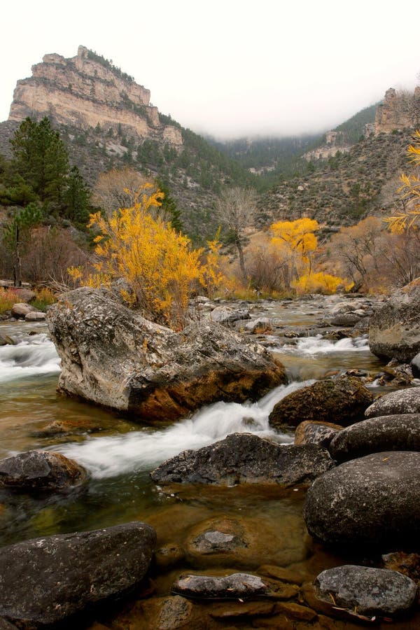 Fall mountain stream stock photo. Image of outdoors, rocks - 300086