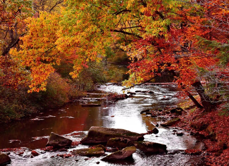 Fall Mountain Stream stock photo. Image of artistic, ecologic - 47405644