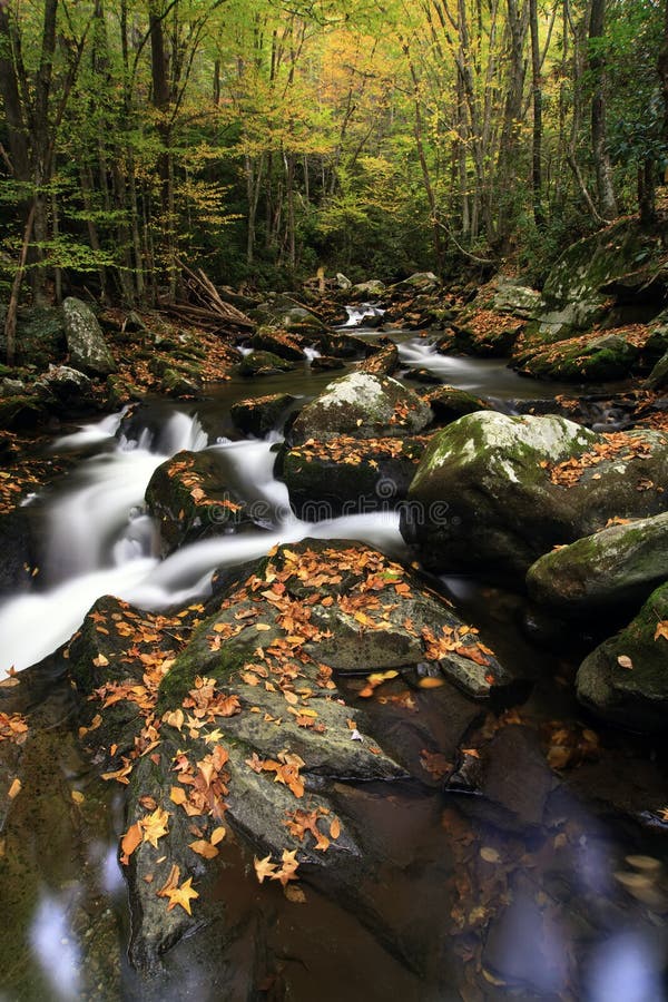 Fall mountain stock image. Image of colorado, autumn, foliage - 256673